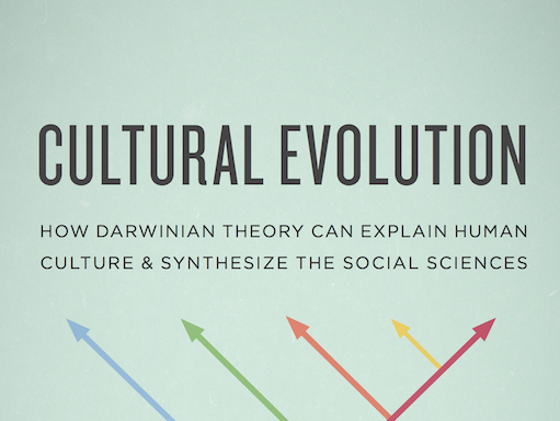 Cultural evolution: How Darwinian theory can explain human culture and ...